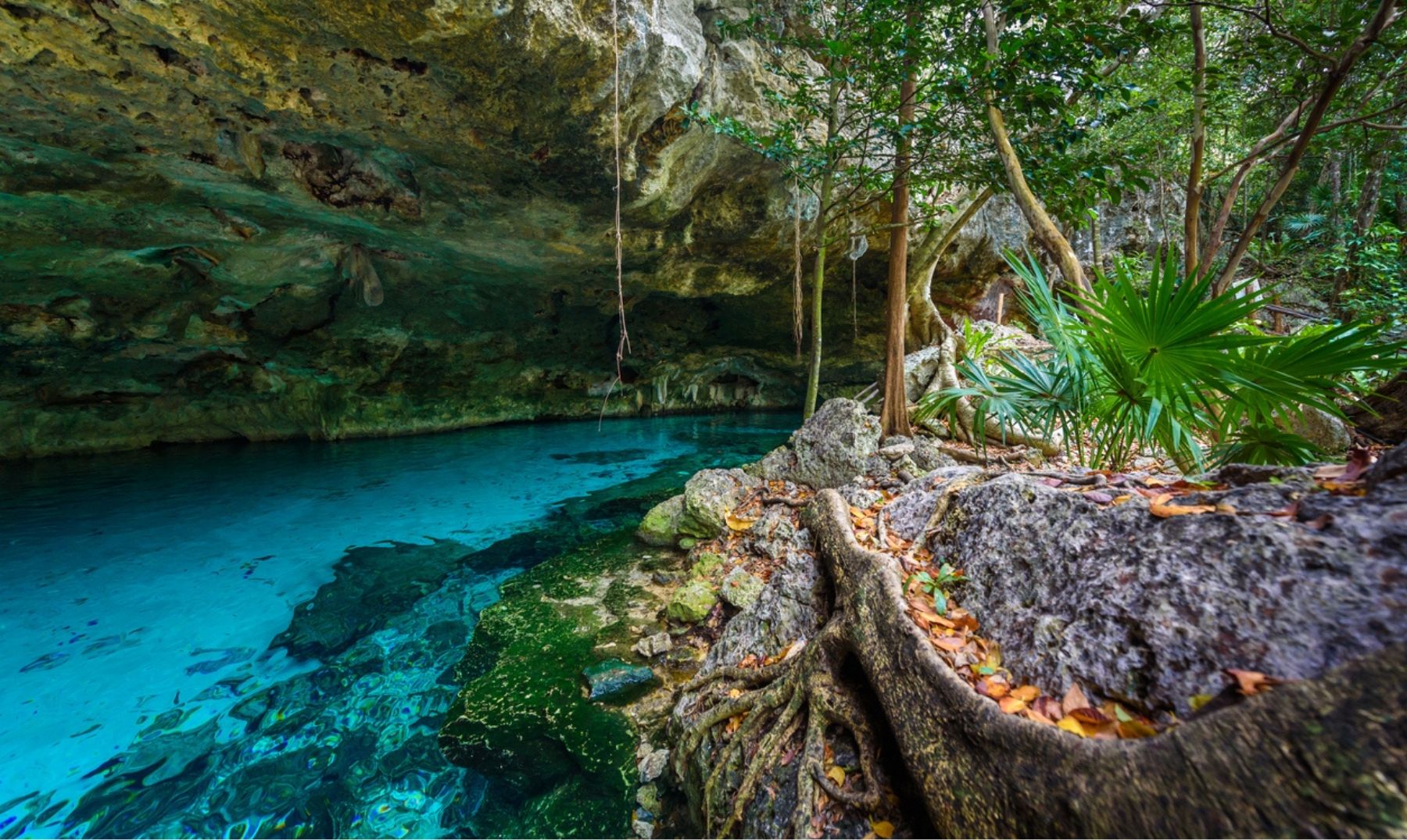 Que hacer en Tulum México - Contrastes